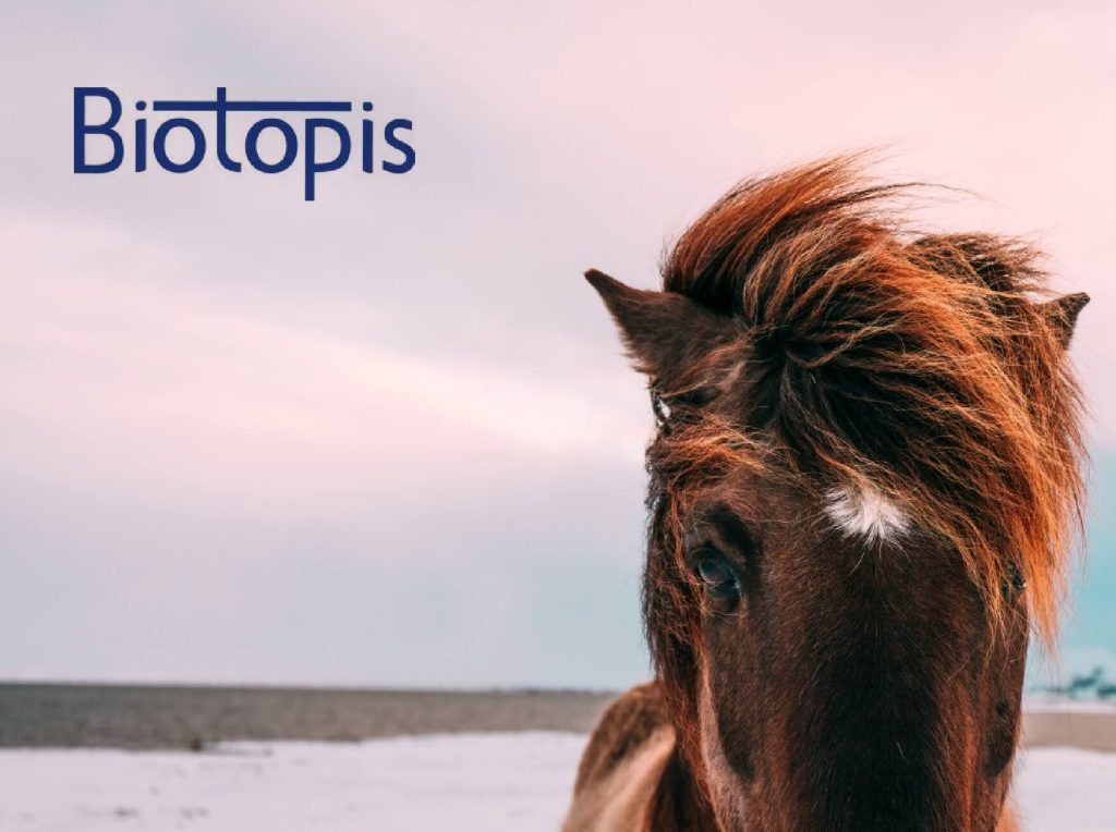 VetaPharma Vitrine – La centrale de référencement pharmaceutique ...